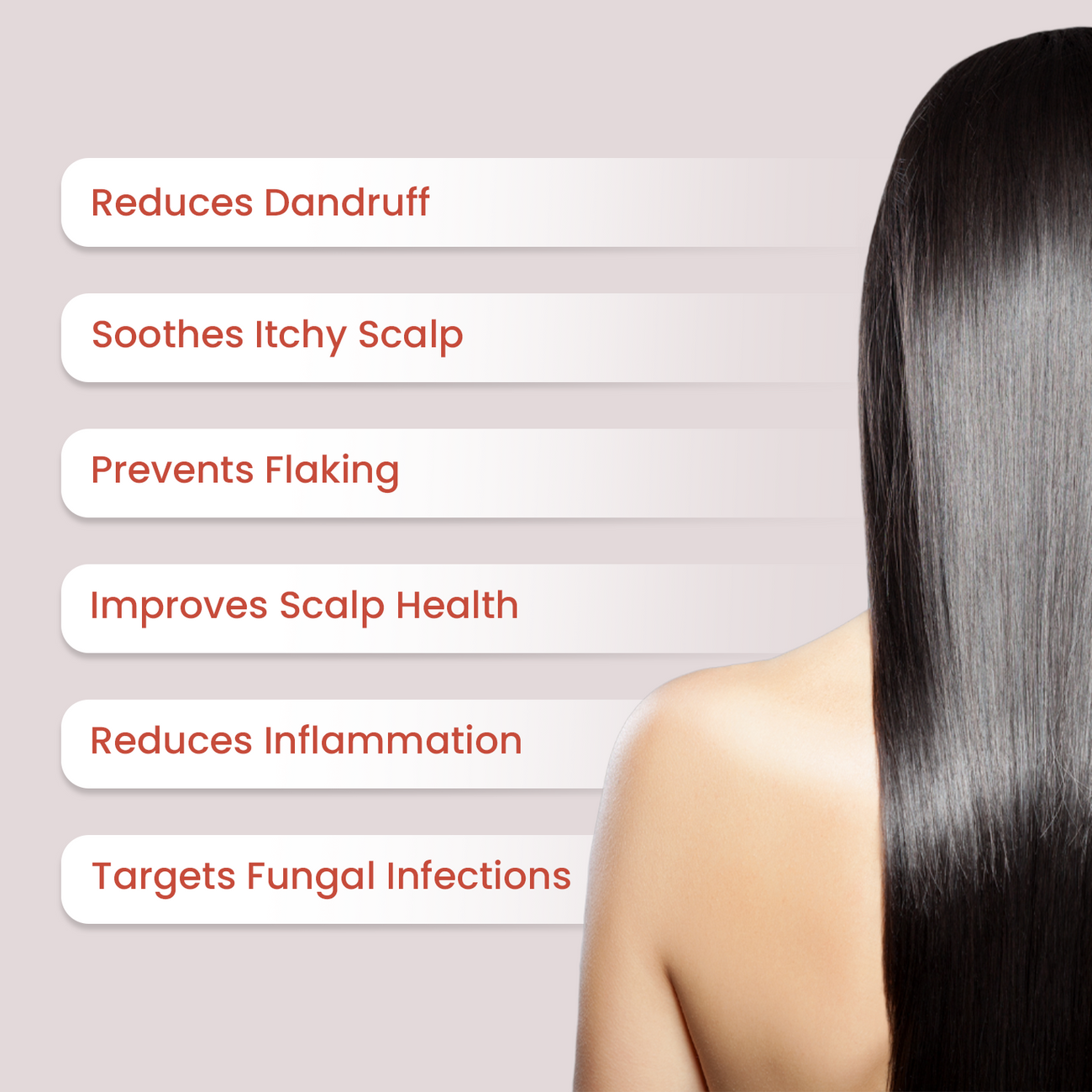 Earthraga Anti-Dandruff Shampoo | Sulphate-Free Mild Hair Cleanser ...